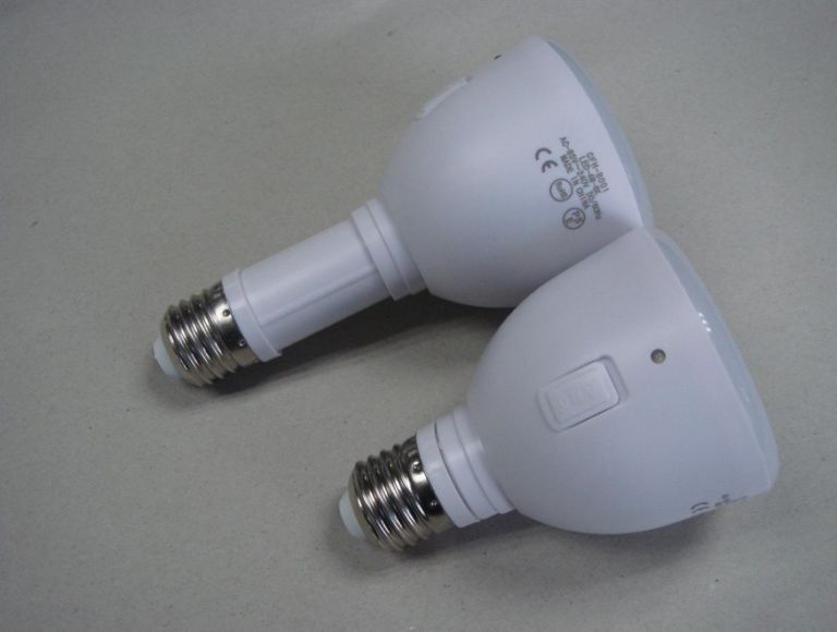 Multipurpose Bulb-Torch – Beejay Realm